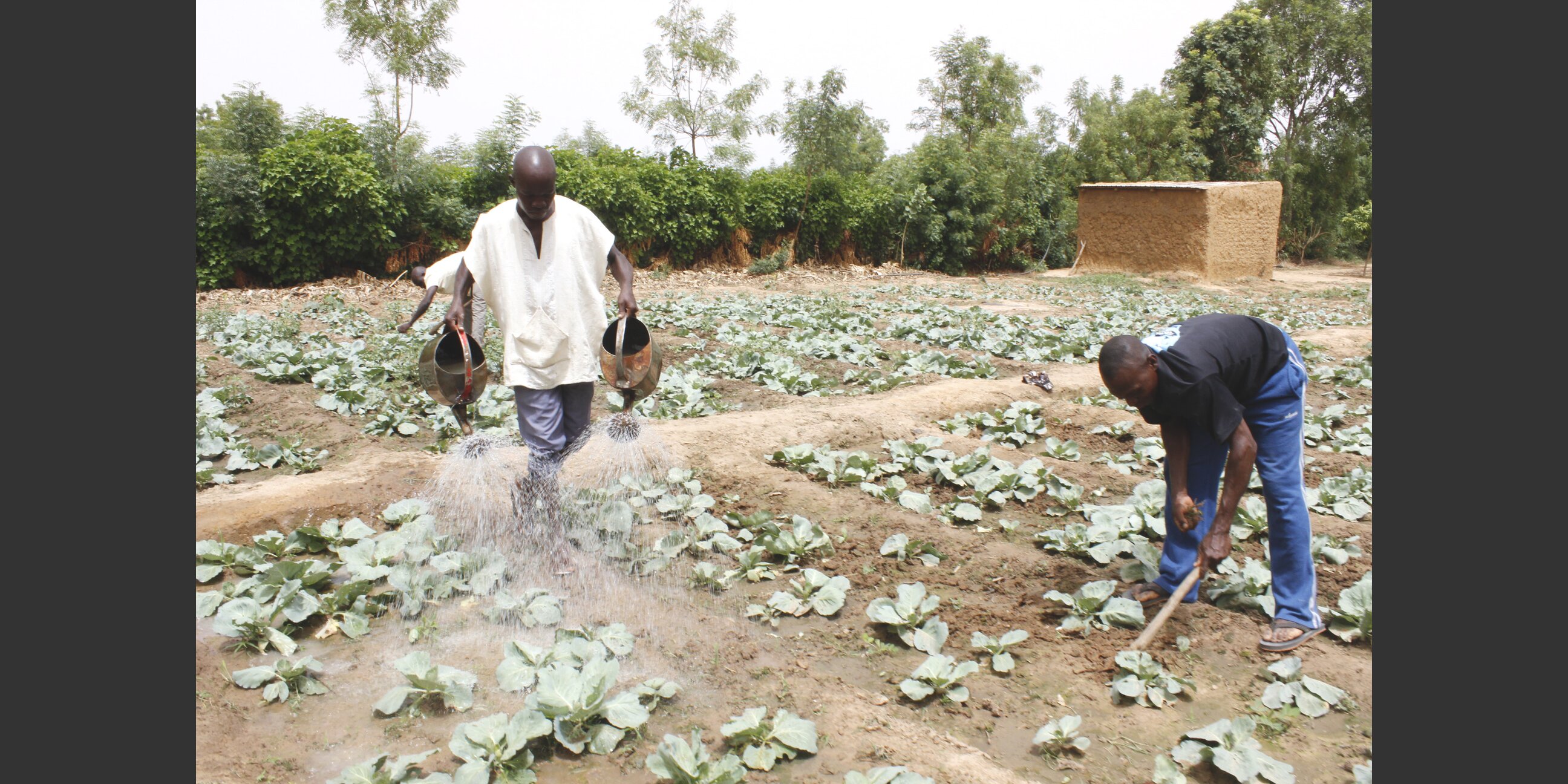Formation en agriculture | Mali | Helvetas
