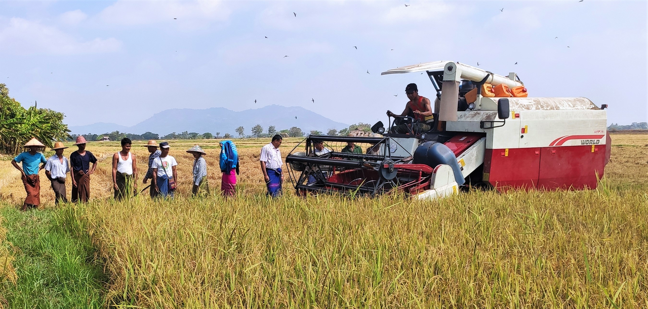 Climate Smart Rice and Water Productivity | Myanmar