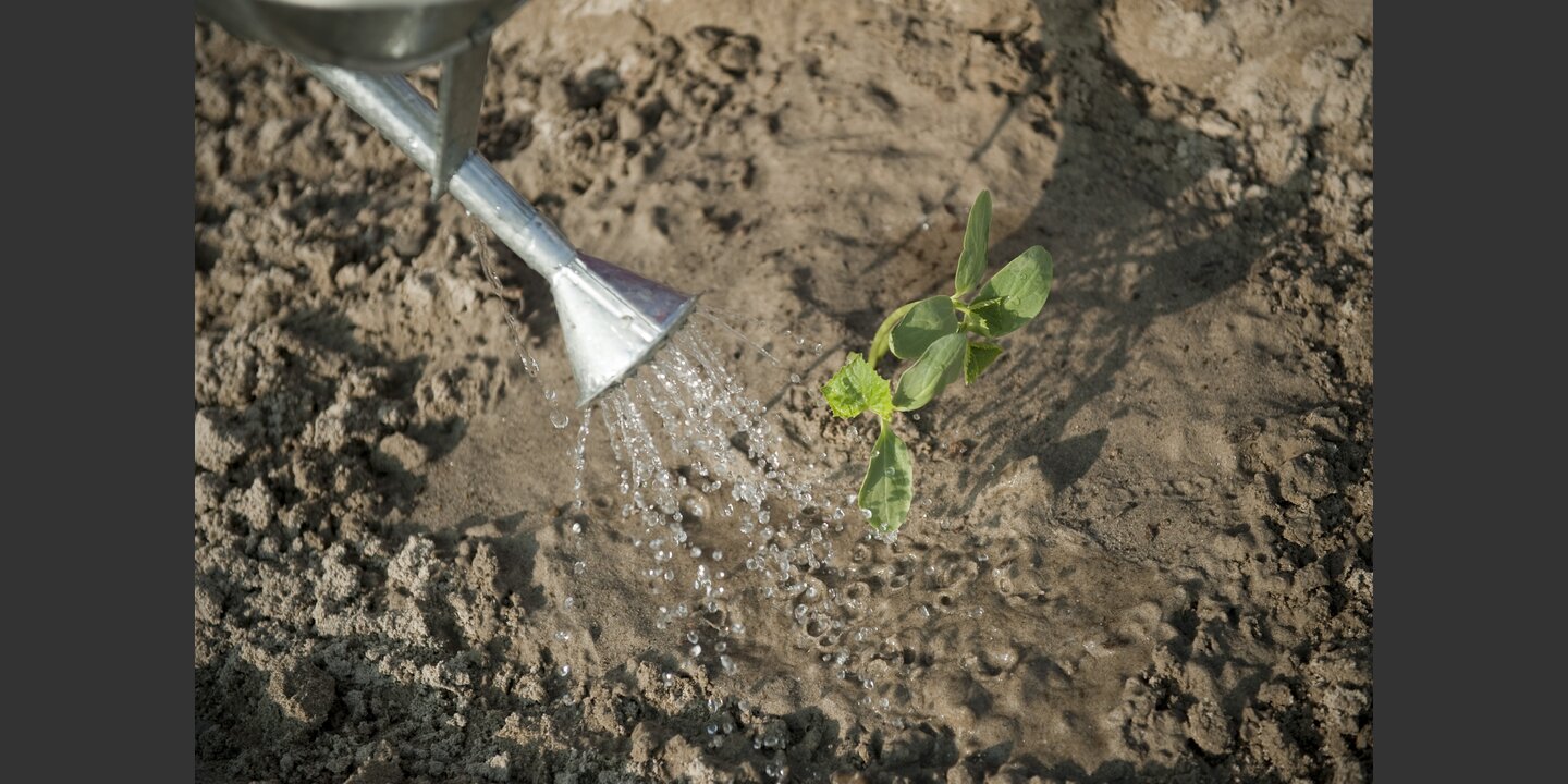 Riverbed Vegetables | Nepal | Helvetas