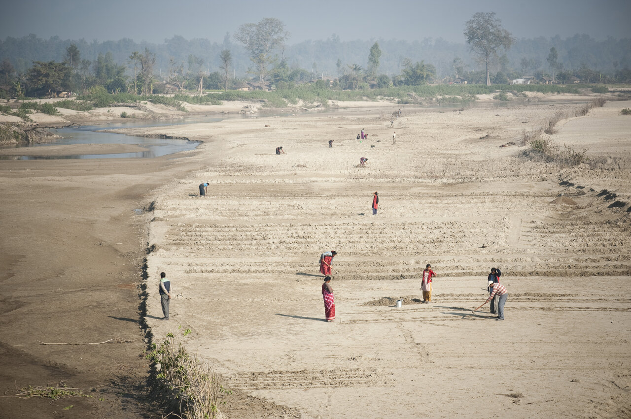 Riverbed Vegetables | Nepal | Helvetas