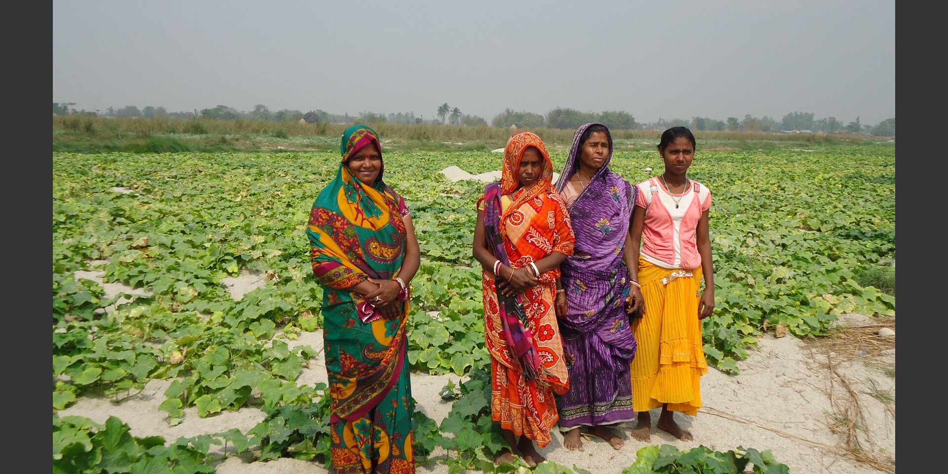 Nepal Agricultural Services Development Programme-Prayas