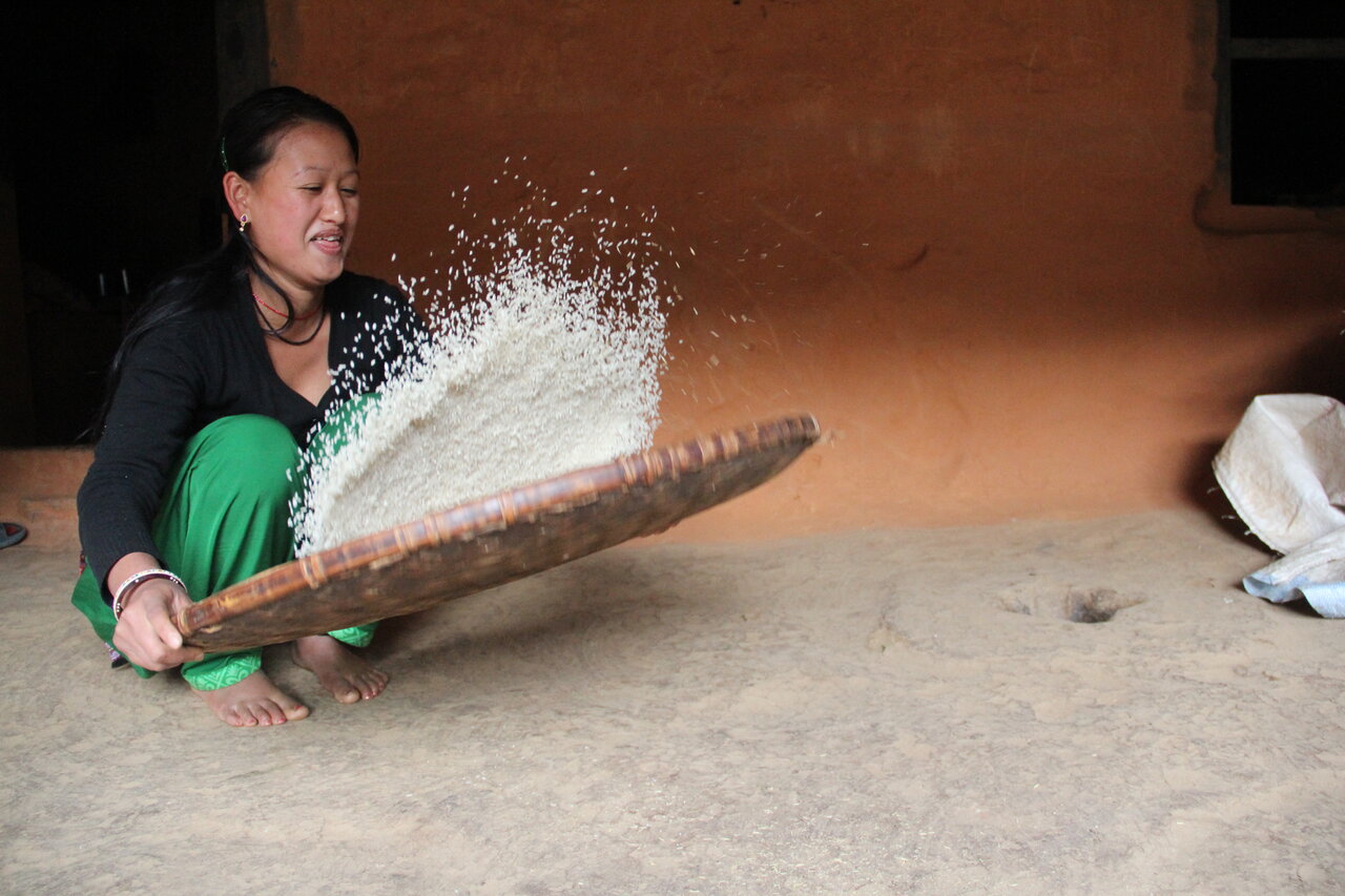 Nepal Agricultural Services Development Programme-Prayas