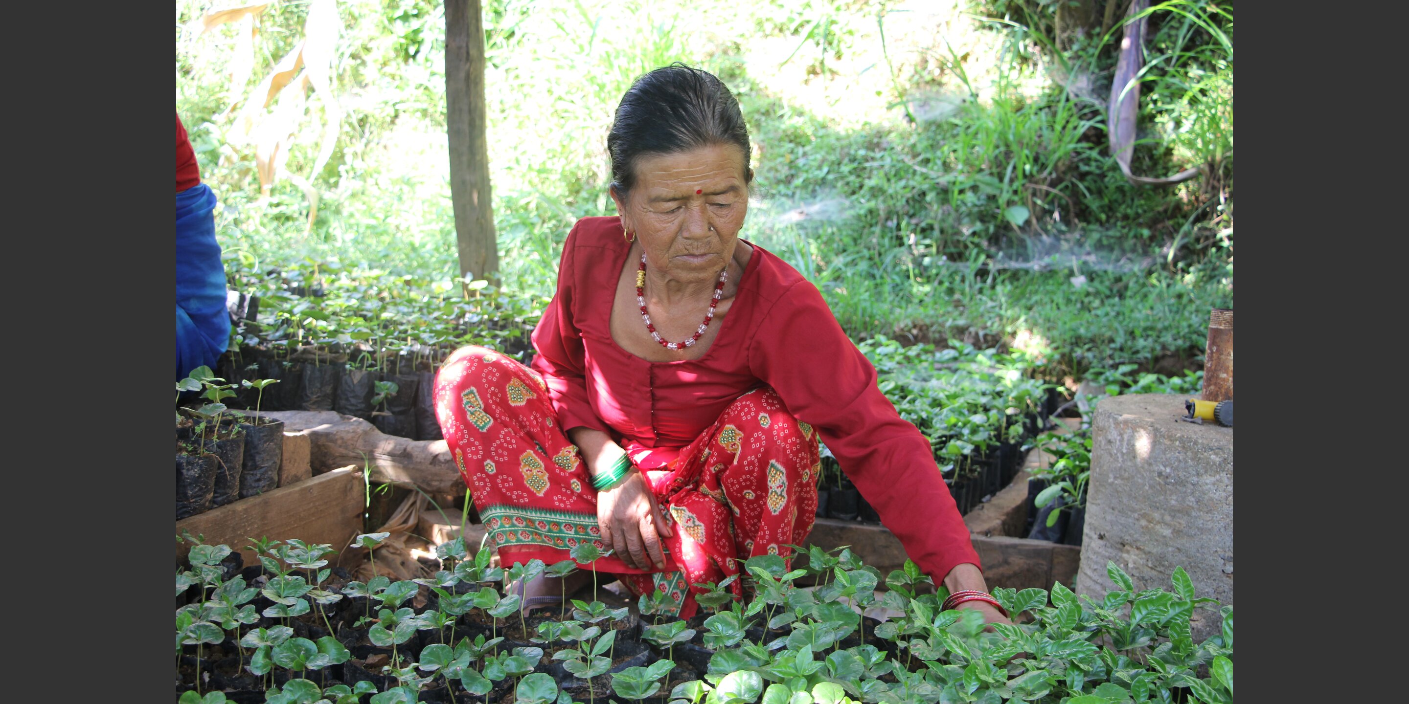 Nepal Agricultural Services Development Programme-Prayas