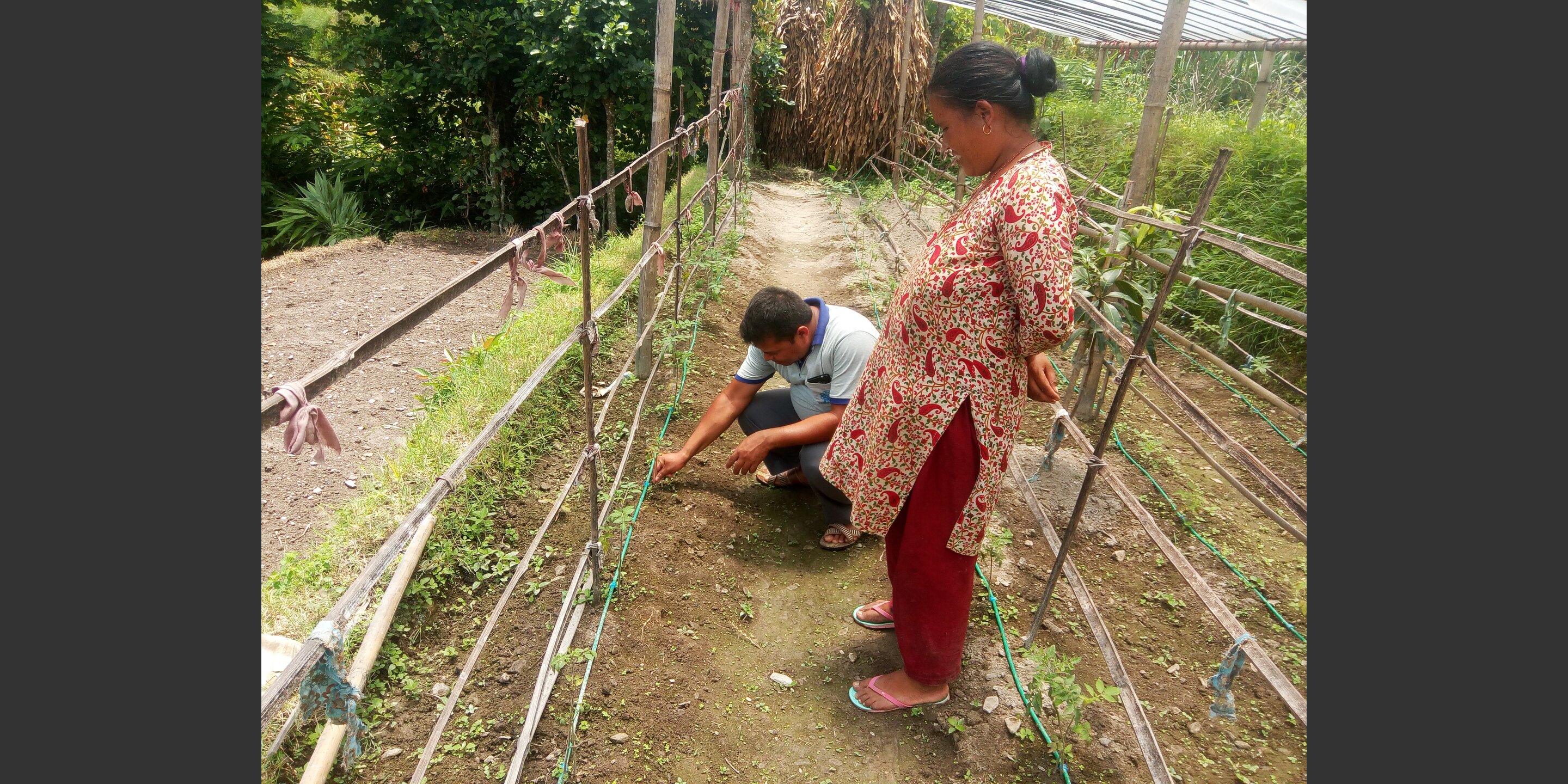 Nepal Agricultural Services Development Programme-Prayas