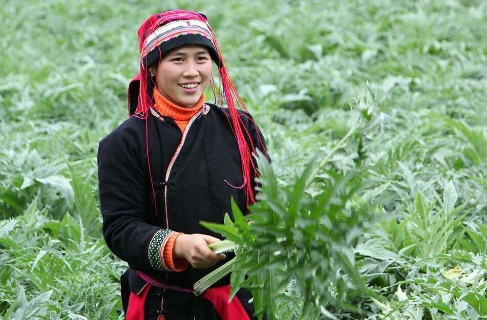 Our Principles & Approaches | Helvetas