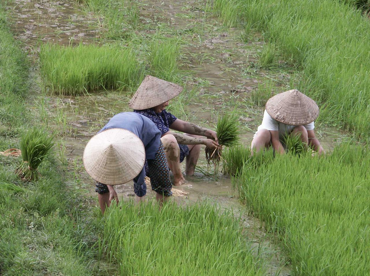 Rural access | Helvetas