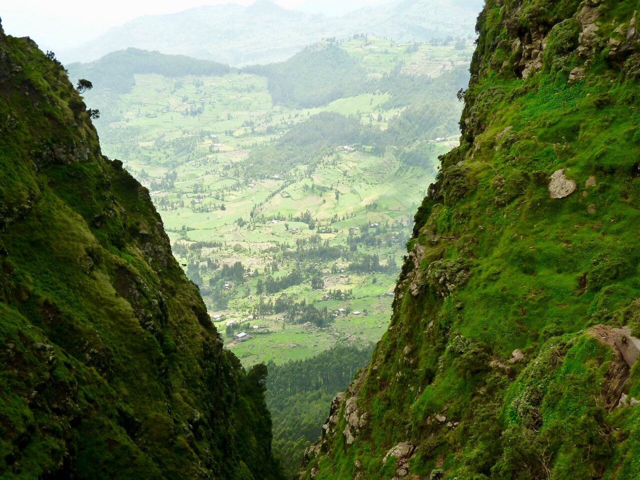 Enduring Legacy of Protracted Conflicts in Ethiopia