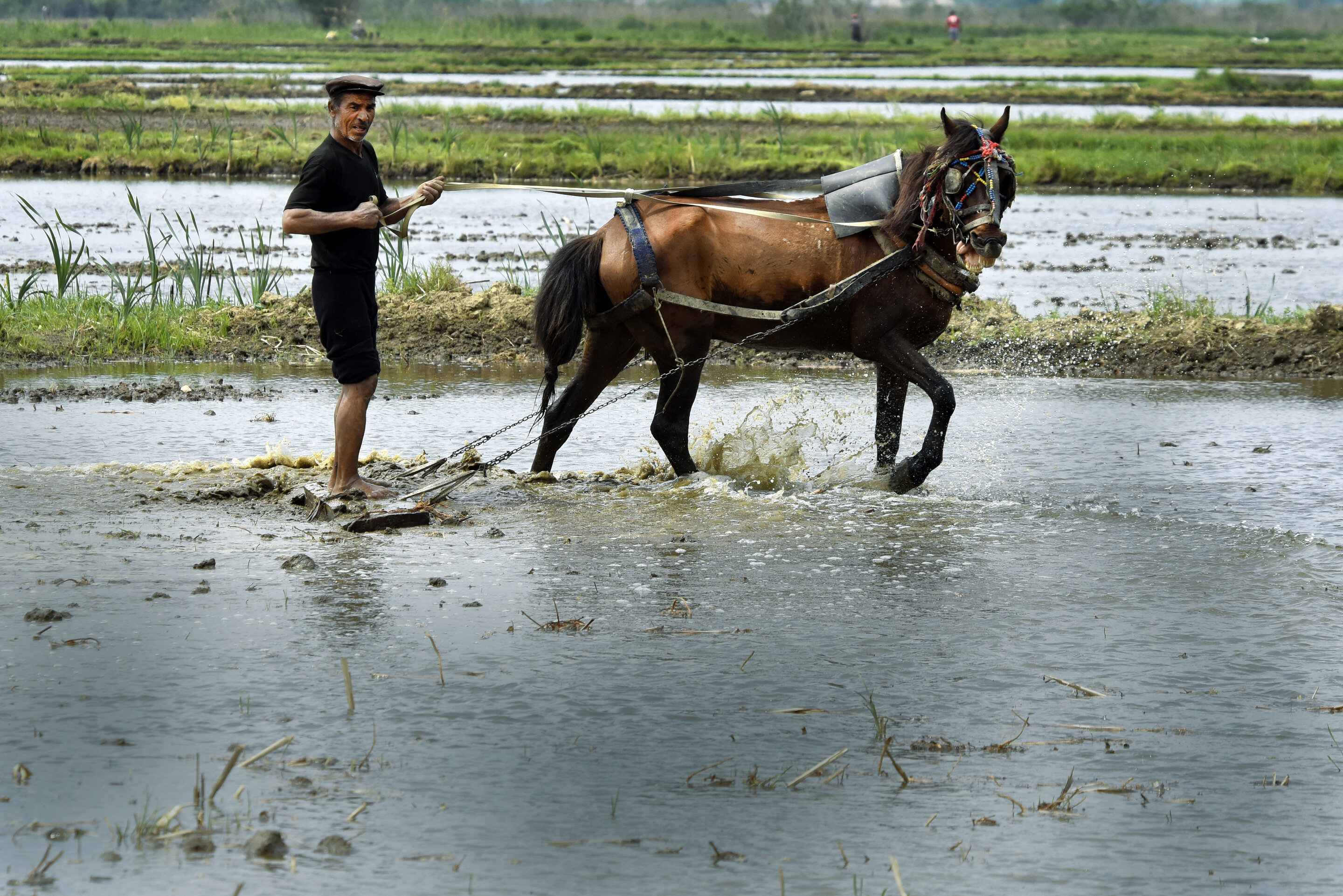 Getting Biodiversity on the Agenda | Macedonia | Helvetas