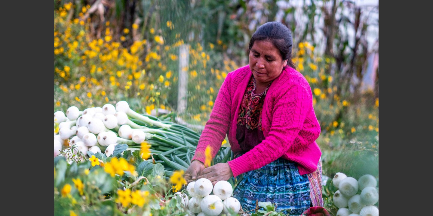 Desarrollo Económico Rural Territorial | Guatemala