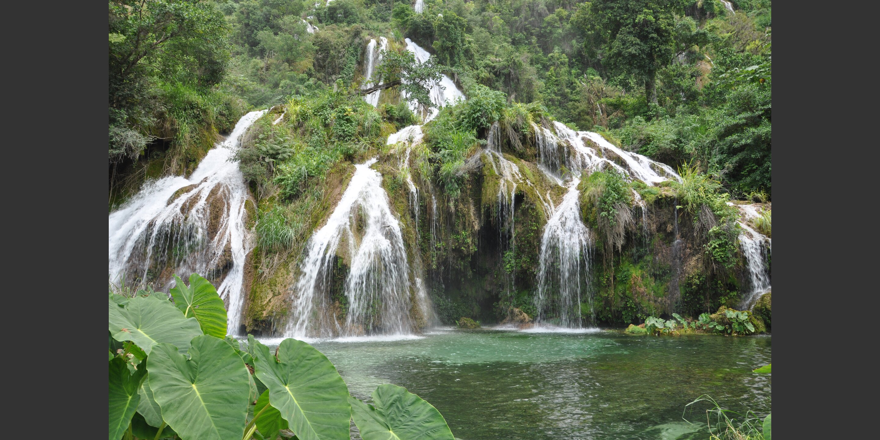Gestion des Aires Protégées |Haiti|Helvetas