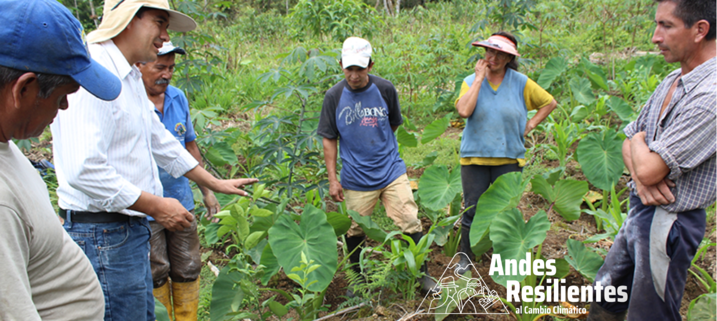Ministerios de Ecuador y extensionistas rurales