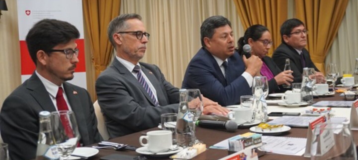PMC3: Impulso al grupo de apoyo de la reforma de la