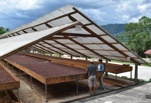 Experiencia de éxito: el caso de Choba Choba | Helvetas