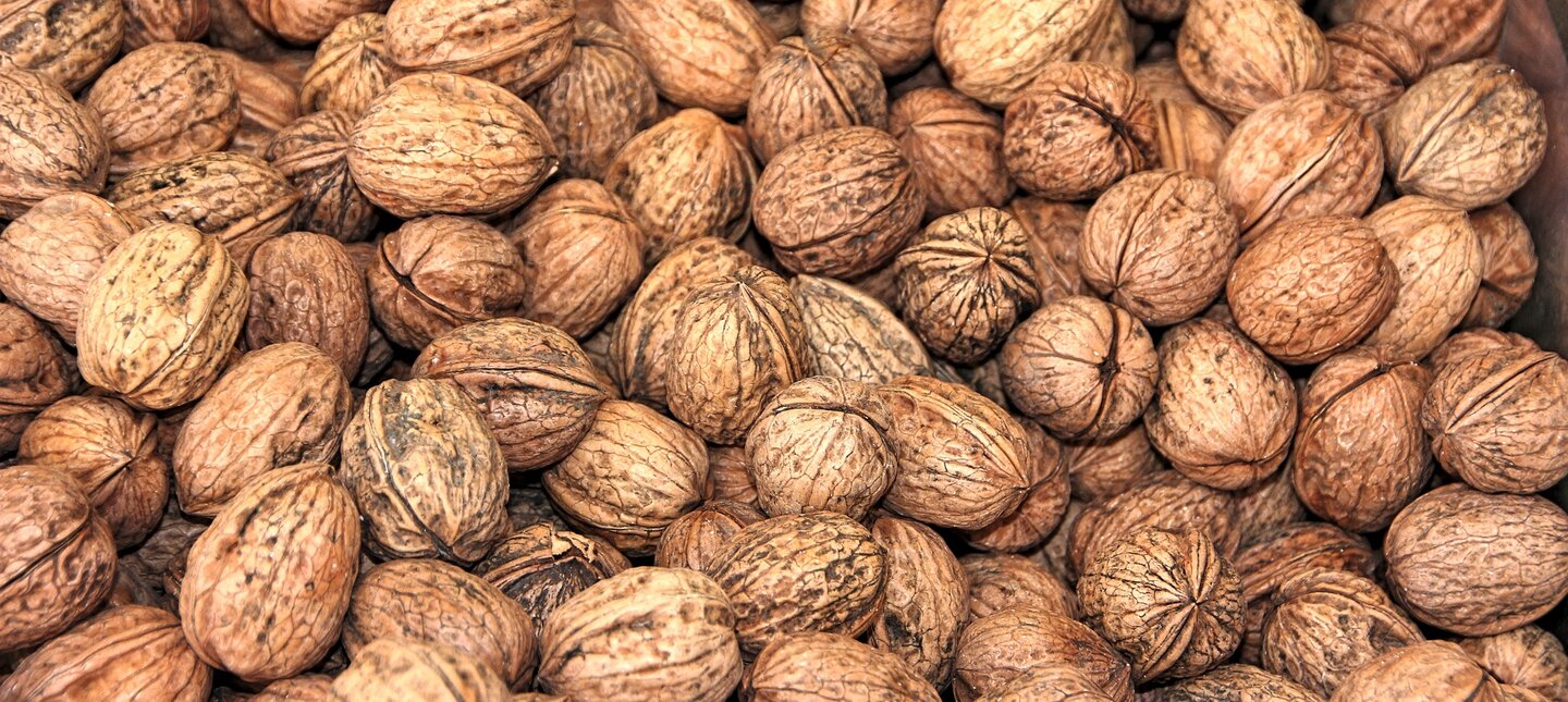 Why Nepali Farmers Decide to Grow or Not Grow Nuts?