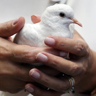 Helvetas | Swiss development organization