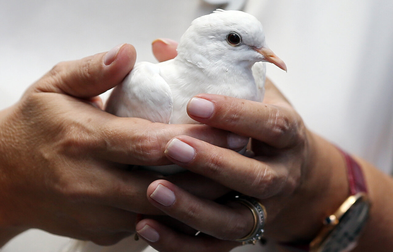 Helvetas’ Statement on the War in the Middle East