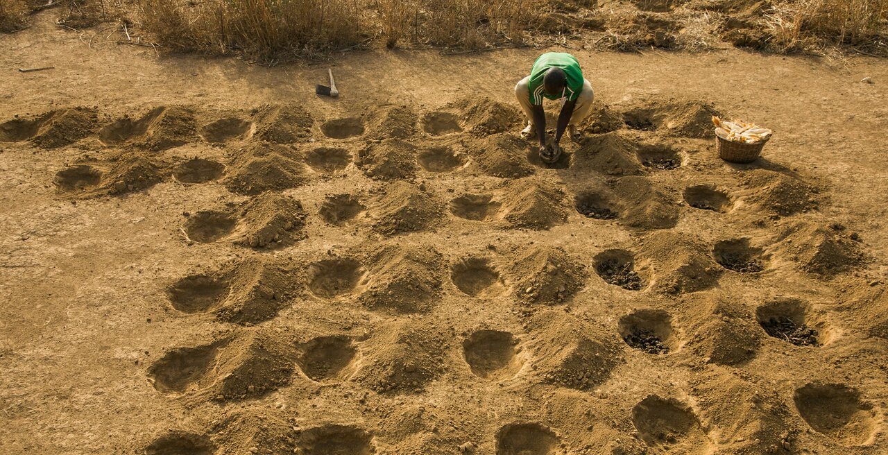 Africa's Green Wonder of the World? | Helvetas