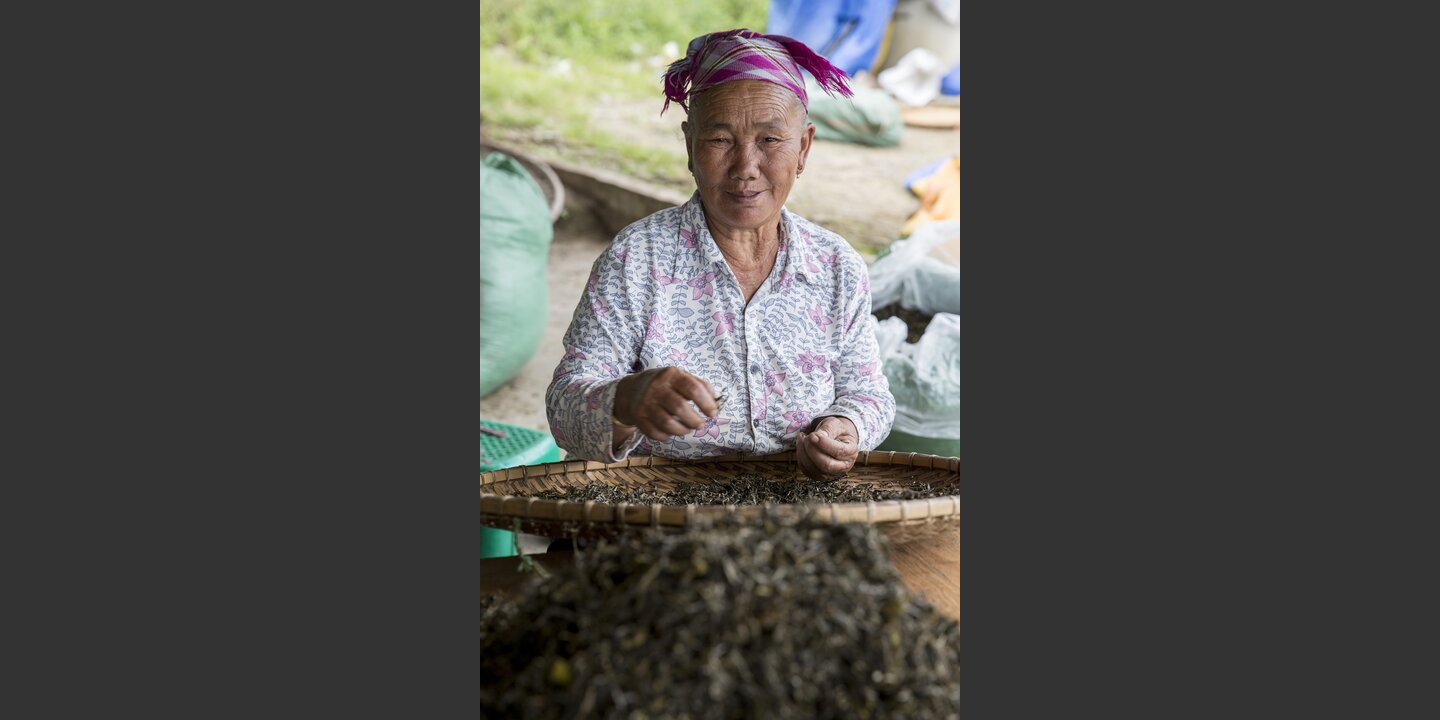 Where Tea Grows on Trees | Helvetas