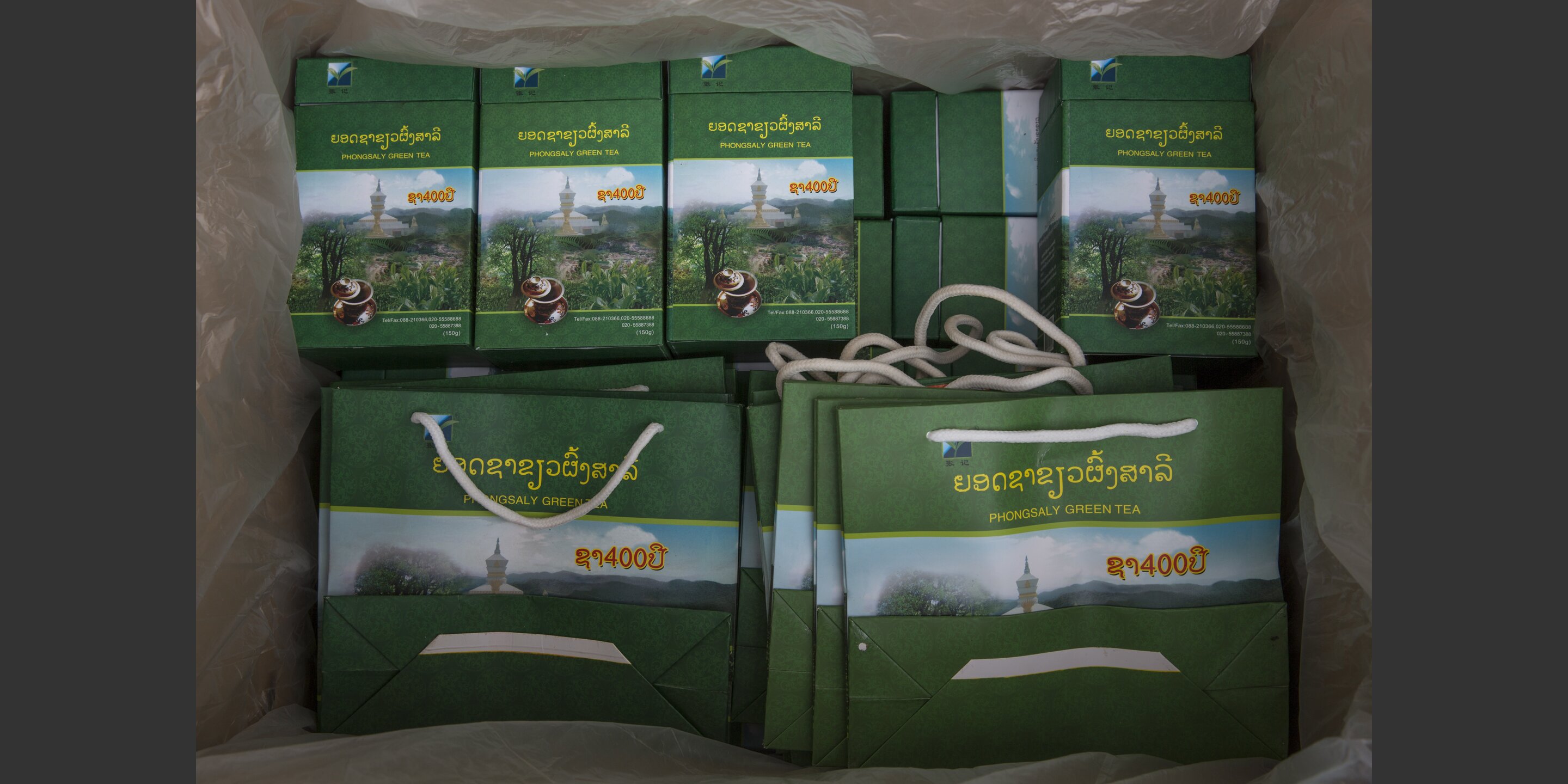 Where Tea Grows on Trees | Helvetas