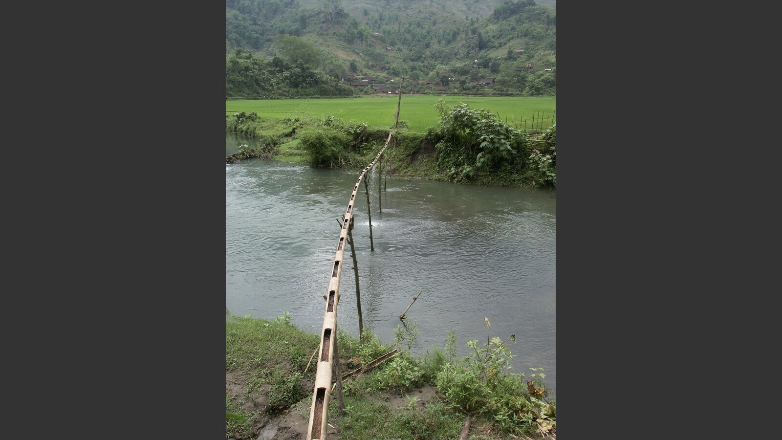Projects and engagement in Vietnam | Helvetas