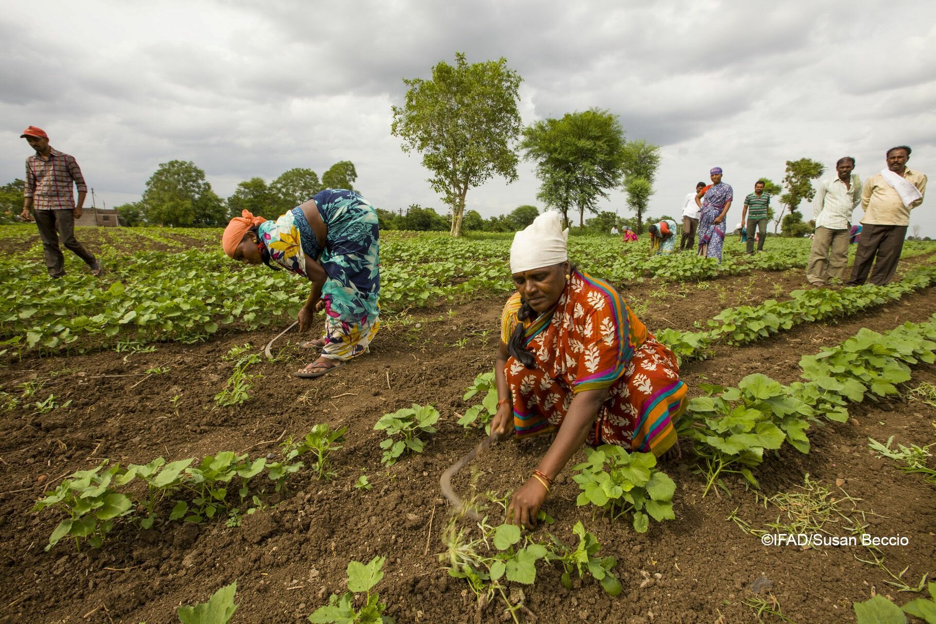 Building a Community of Practice to Guide Rural Development