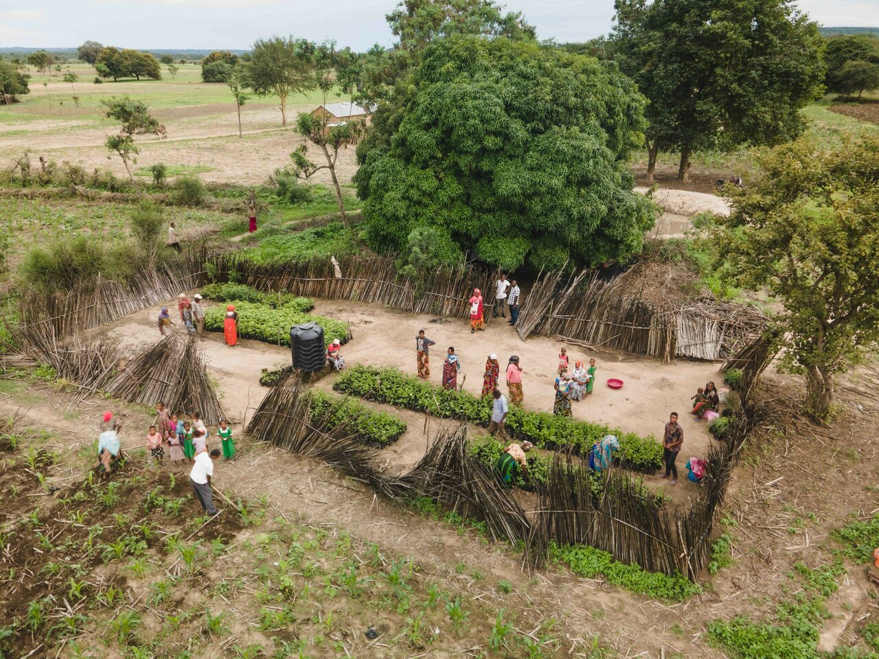 Four Cornerstones for Successful Landscape Restoration