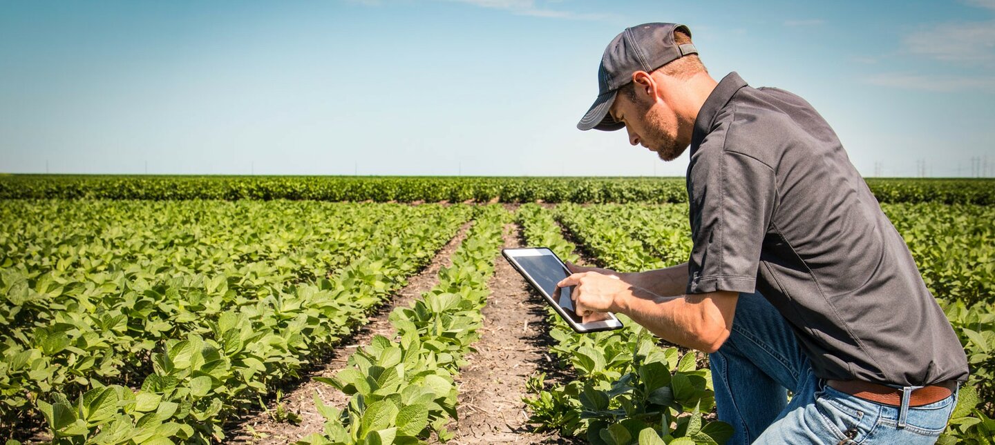 Transforming Moldova's Agriculture by Leveraging Digital