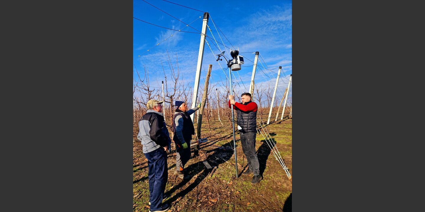 Transforming Moldova's Agriculture by Leveraging Digital